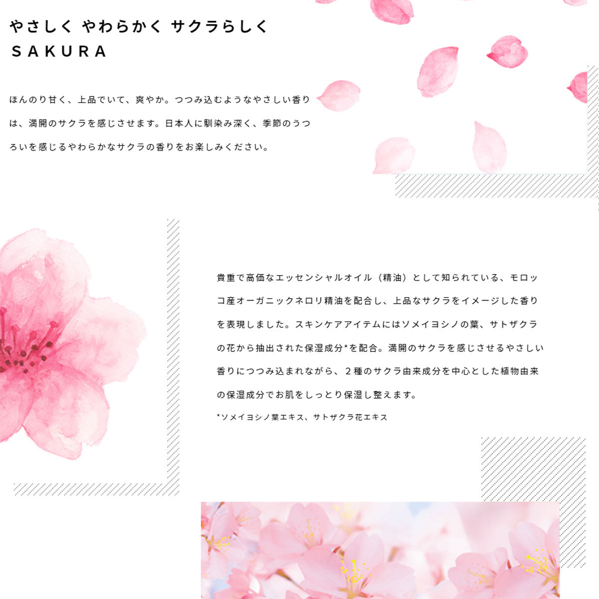 DAILY AROMA JAPAN | Sakura Reed Diffuser – Legends Boutique